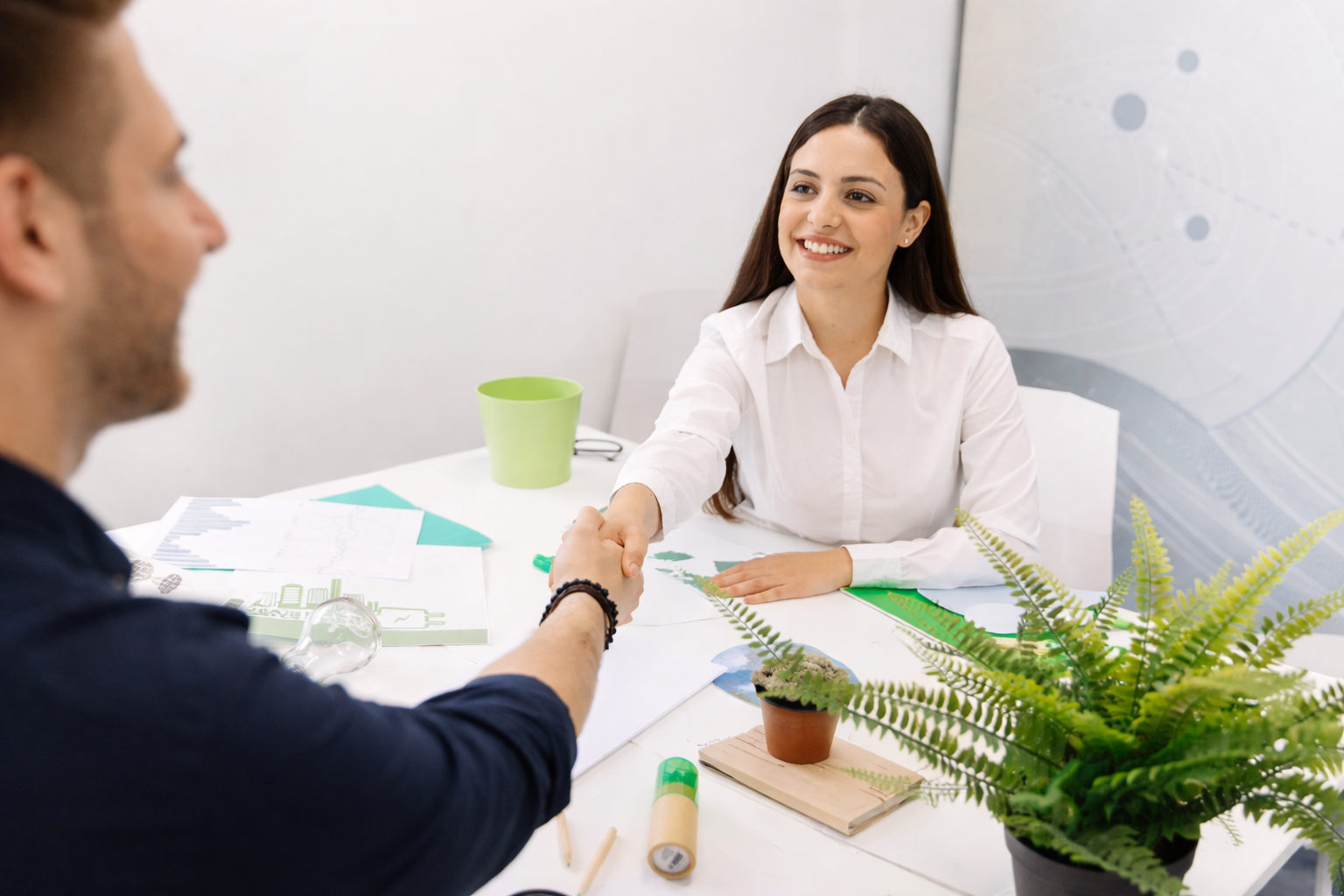 Program Manager Roles and Responsibilities [2025]: JD, Skills